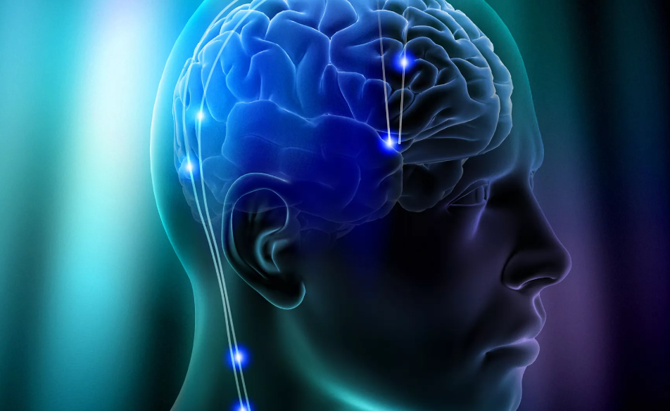 Gənclərin beyni daha böyükdür - Tibb elmi belə deyir | AzEdu.az