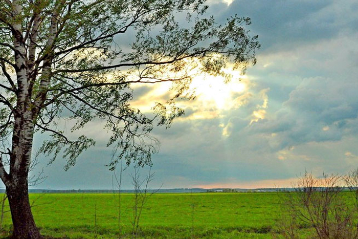 Əksər rayonlarda hava yağmursuz olub - FAKTİKİ HAVA | AzEdu.az